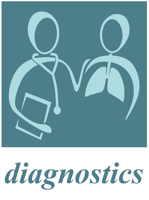 The Measurement of Stiffness for Major Muscles with Shear Wave ...