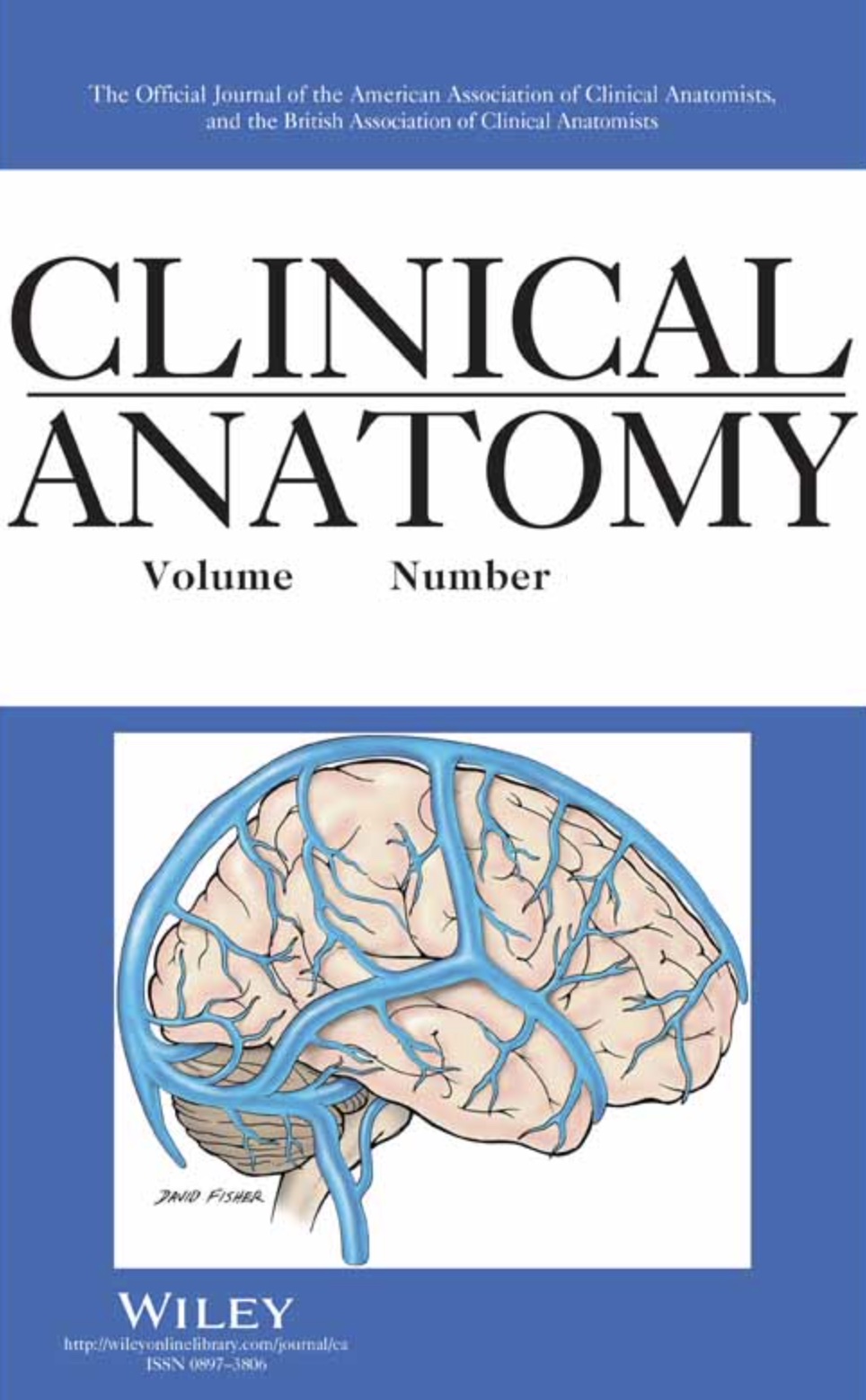 Effect of prone trunk-extension on lumbar and lower limb muscle ...