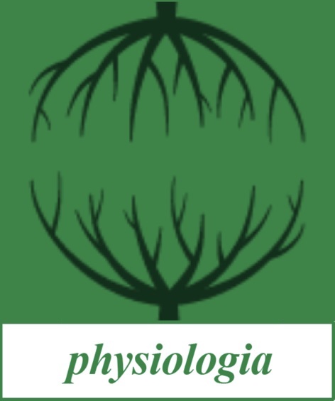 Novel Assessment of Viscoelastic Skeletal Muscle Properties in Chronic ...