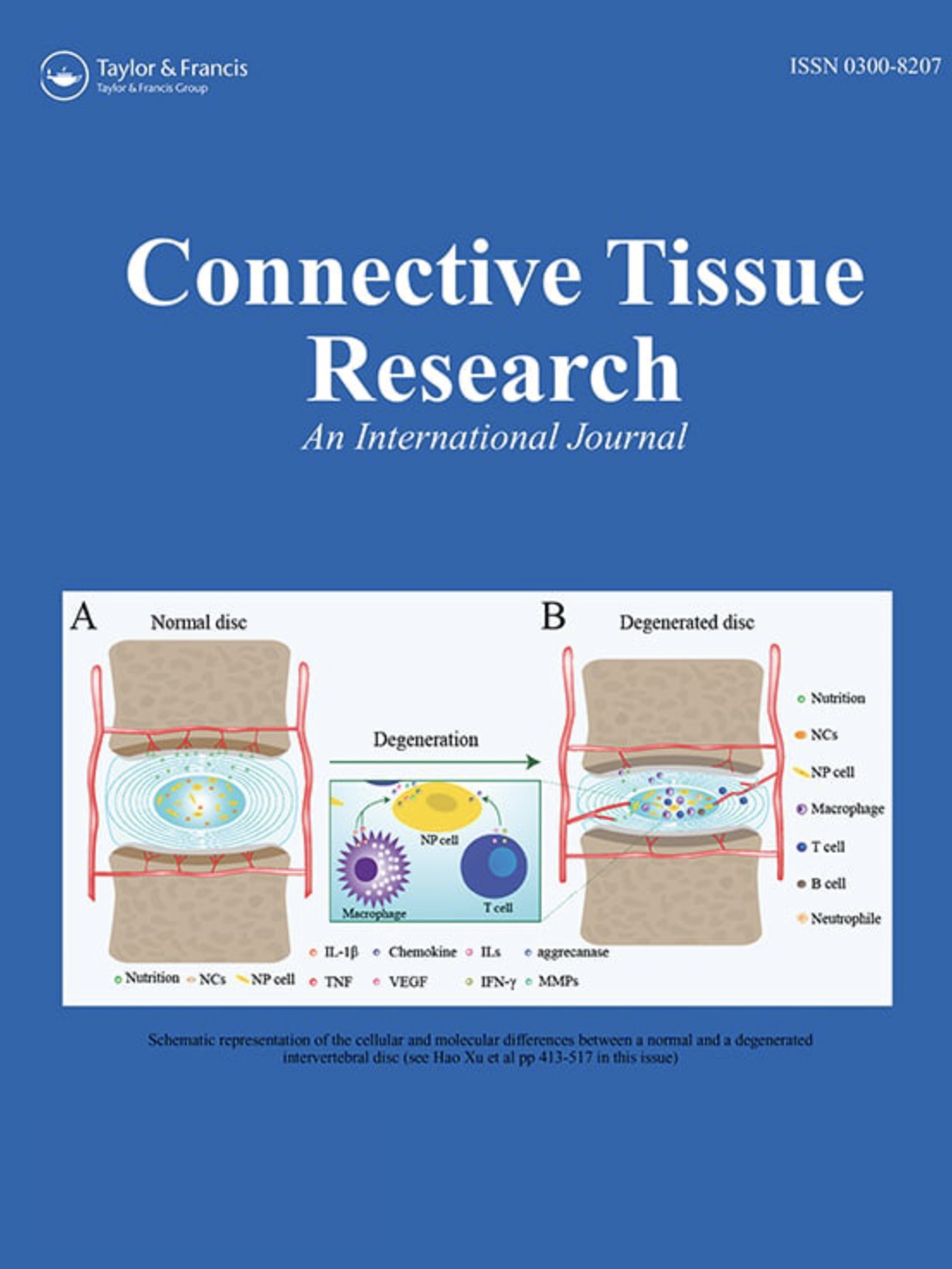 Biomechanical assessment of gastrocnemii and Achilles tendon using ...