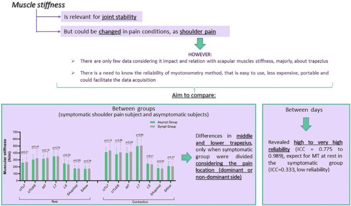 Scapular muscle dynamic stiffness of asymptomatic subjects and subjects ...