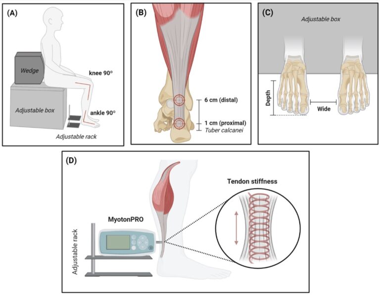 Assessing the Test-Retest Reliability of MyotonPRO for Measuring ...