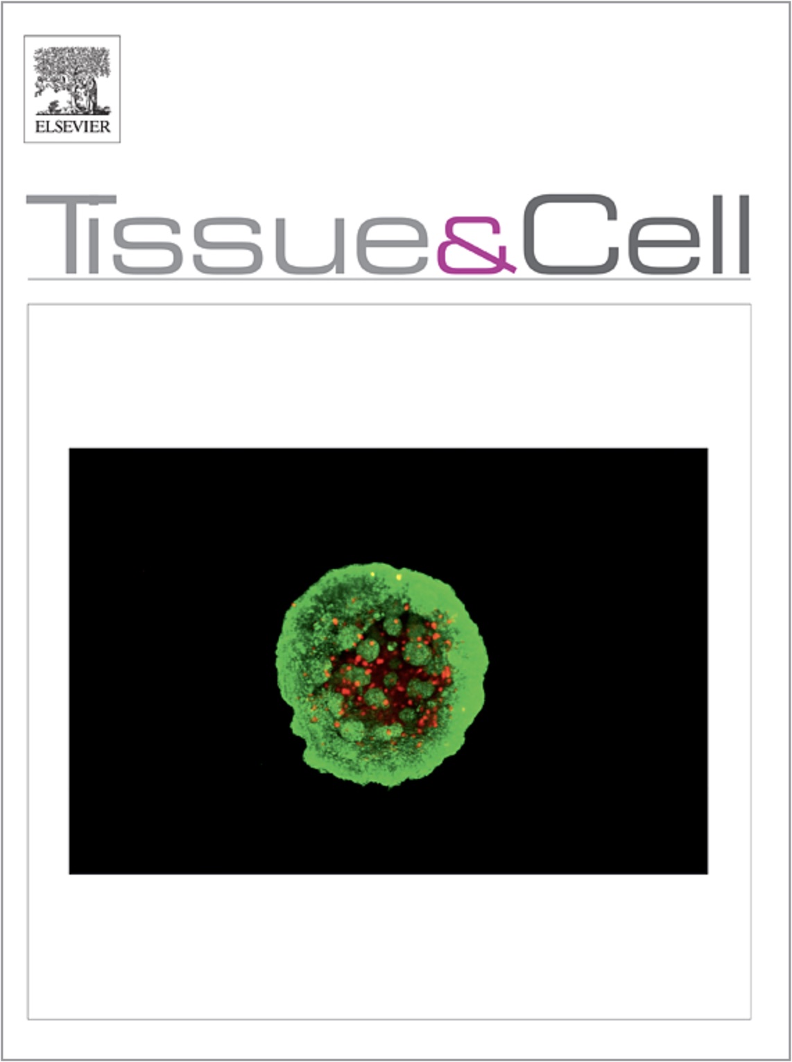 Massage therapy modulates energy metabolism and alleviates skeletal ...